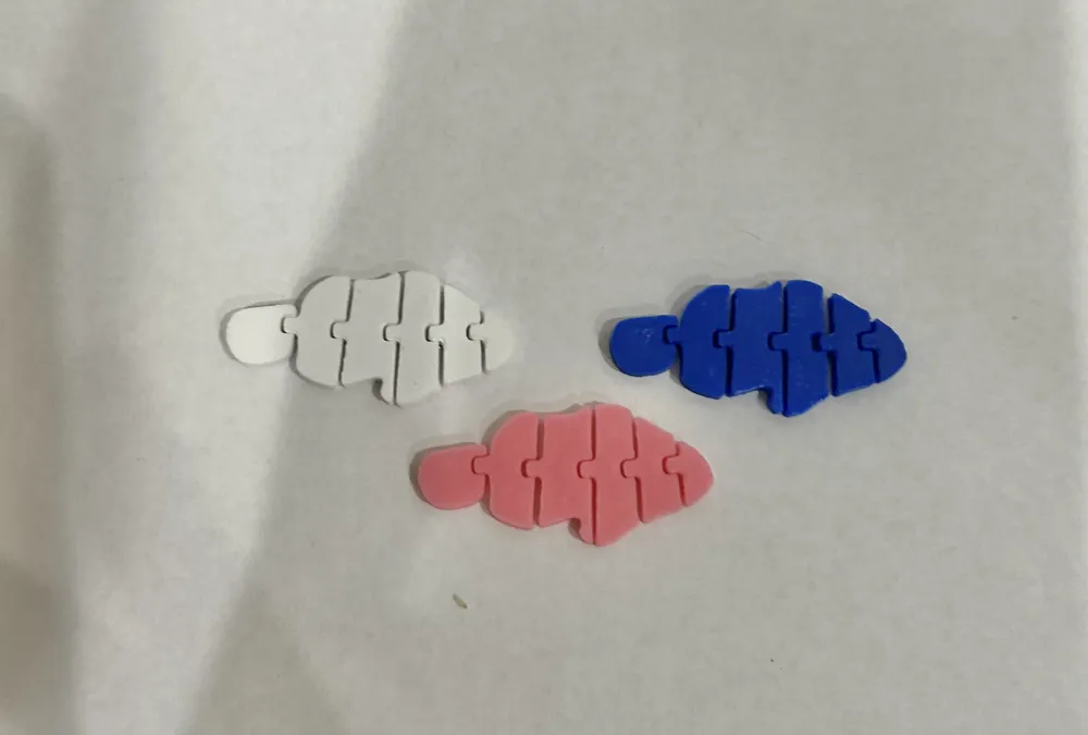 Flexi Coy Fish figet - Free 3D Print Model - MakerWorld