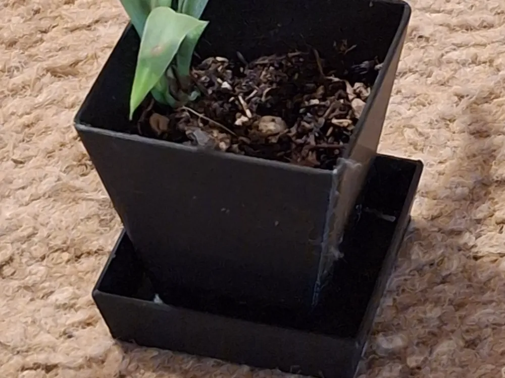 planter for small plants by Inventor_Dylan - MakerWorld