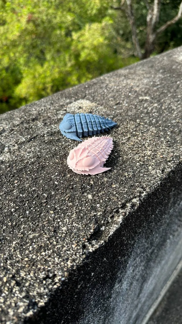 Spiked Trilobite Articulated Remixed by RedScorpionSL - MakerWorld