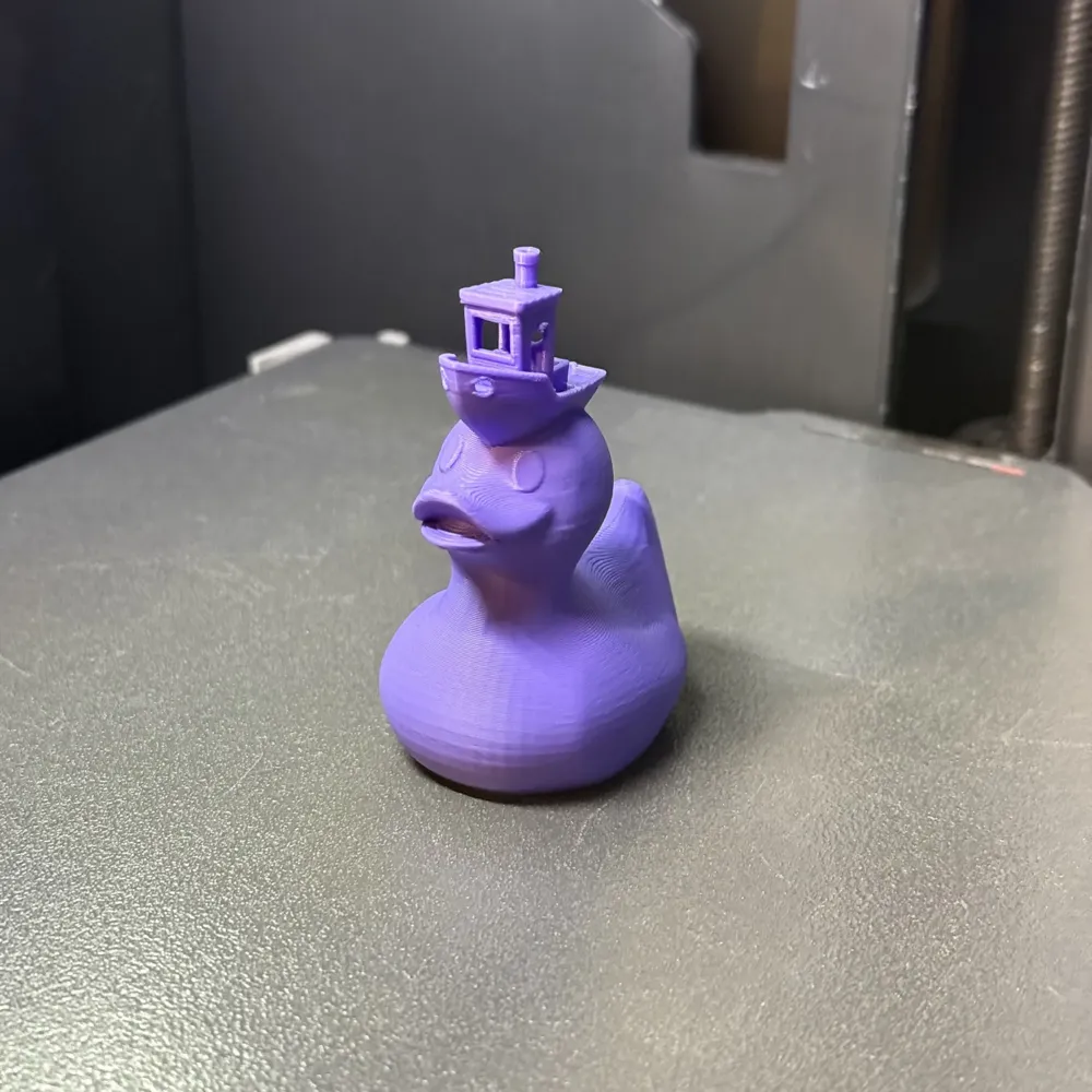 DUCK WITH A BENCHY ON ITS HEAD by Ducks n' Stuff MakerWorld: Download ...