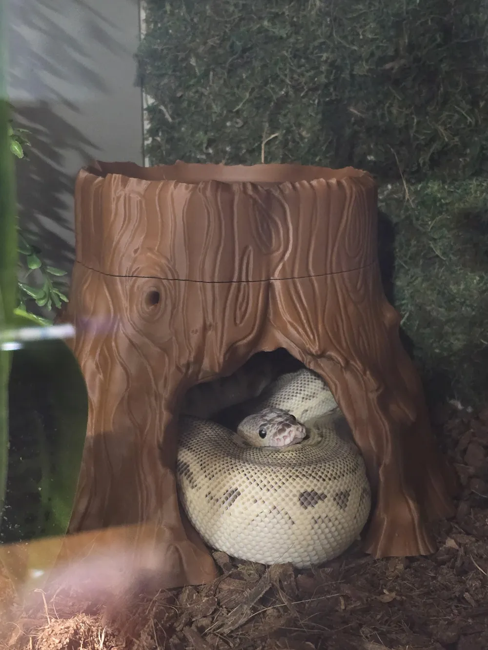 Tree Trunk 2-in-1 Snake Hide & Water Bowl - Free 3D Print Model ...
