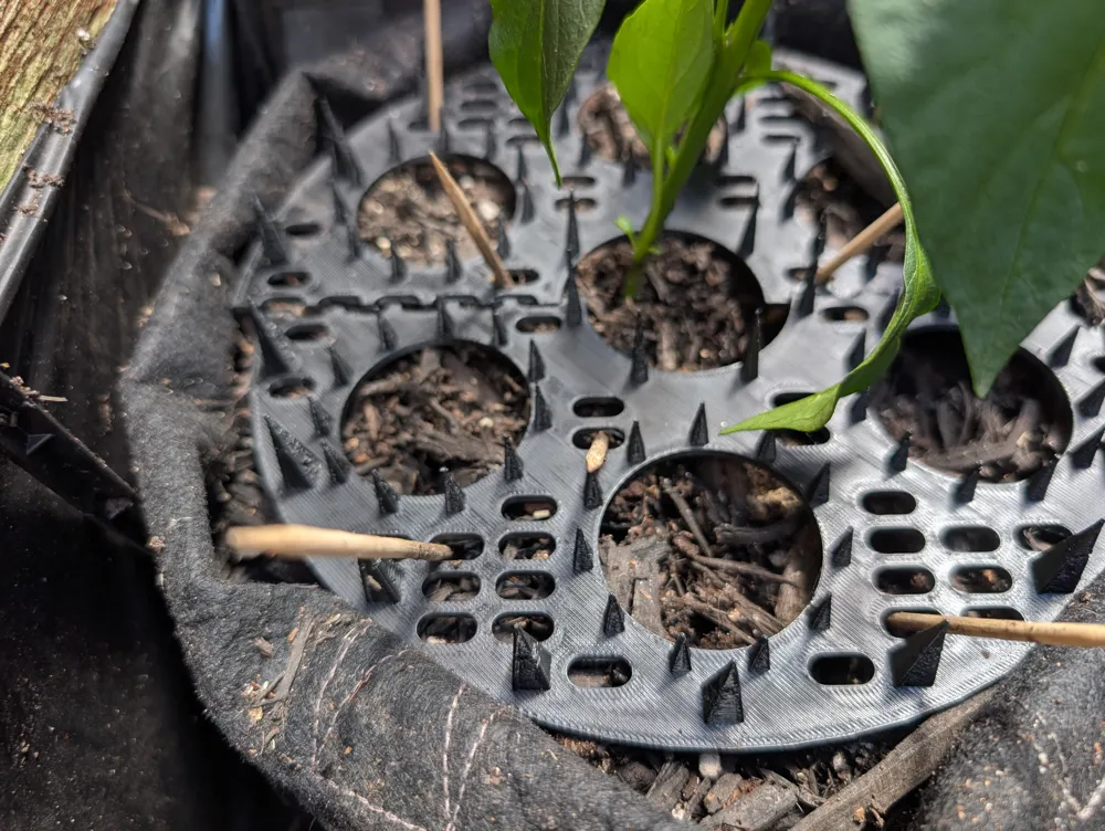 Planter Squirrel Guard - Parametric - Free 3D Print Model - MakerWorld