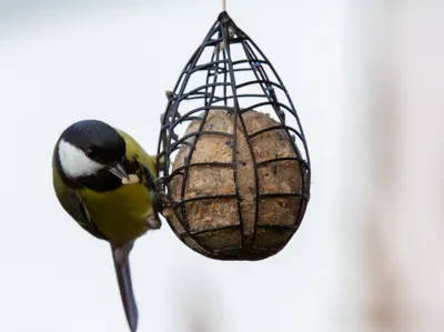 signag | Hem - MakerWorld