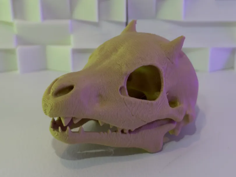 Charmander Skull by Sven MakerWorld: Download Free 3D Models
