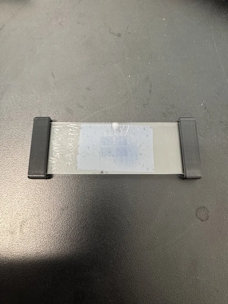 Dual Microscope Slide Clip - Free 3D Print Model - MakerWorld
