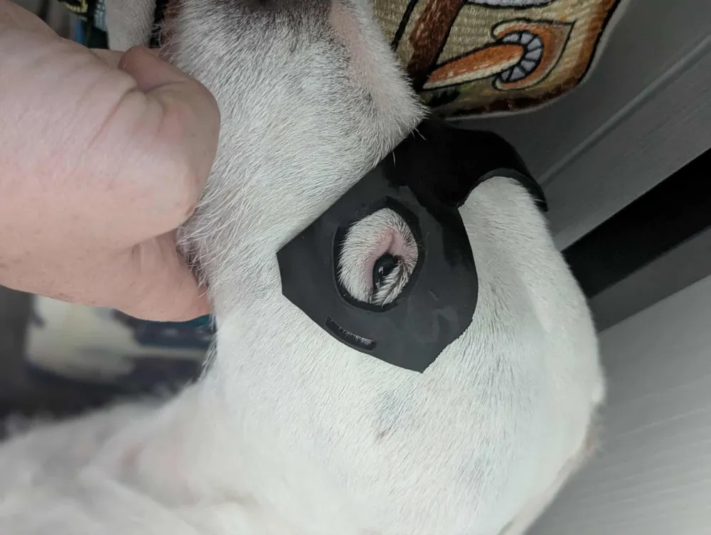 Halloween Masked Pup, Companion Mask, Mask for dog - Free 3D Print ...