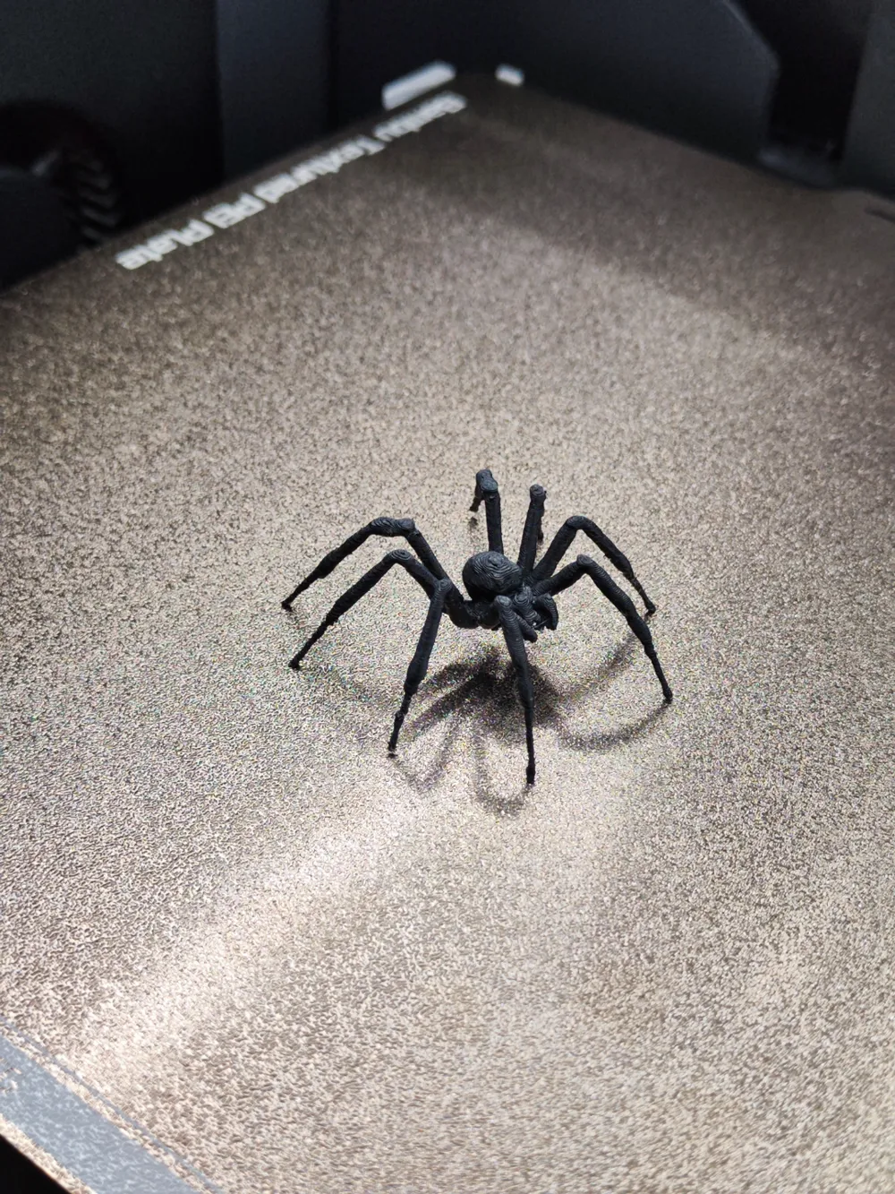 Realistic Spider *NEW 2025 Upgrade profile" - Free 3D Print Model ...