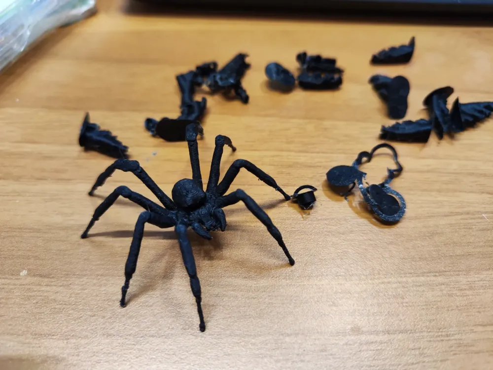 Realistic Spider *NEW 2025 Upgrade profile" - Free 3D Print Model ...