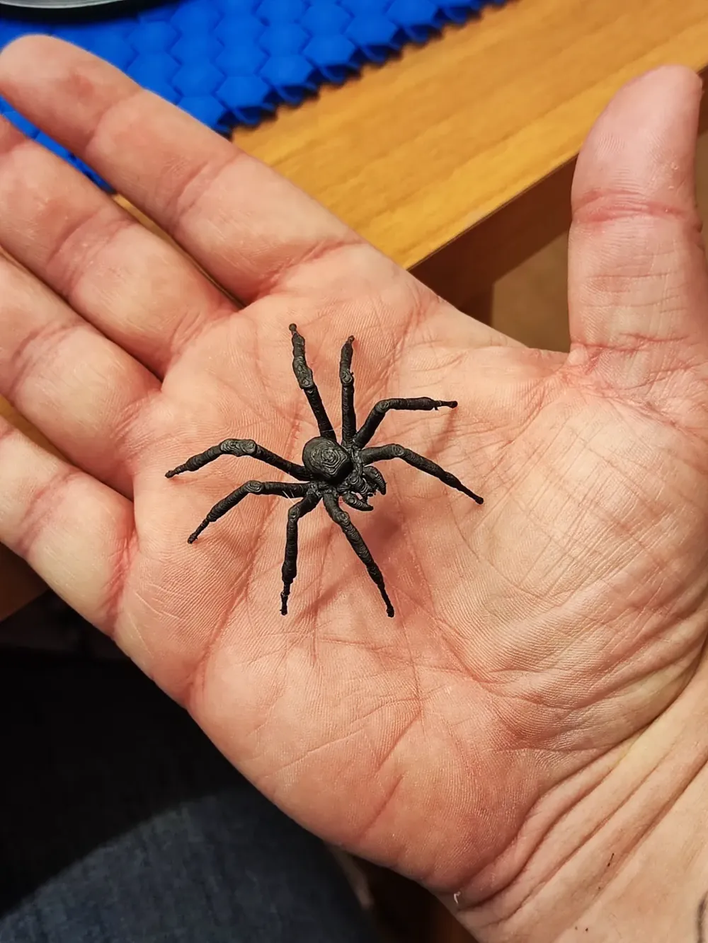 Realistic Spider *NEW 2025 Upgrade profile" - Free 3D Print Model ...