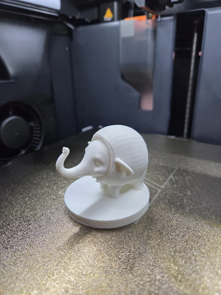 Brainrot Series | Cocofanto Elefanto by KingMo5h MakerWorld: Download ...