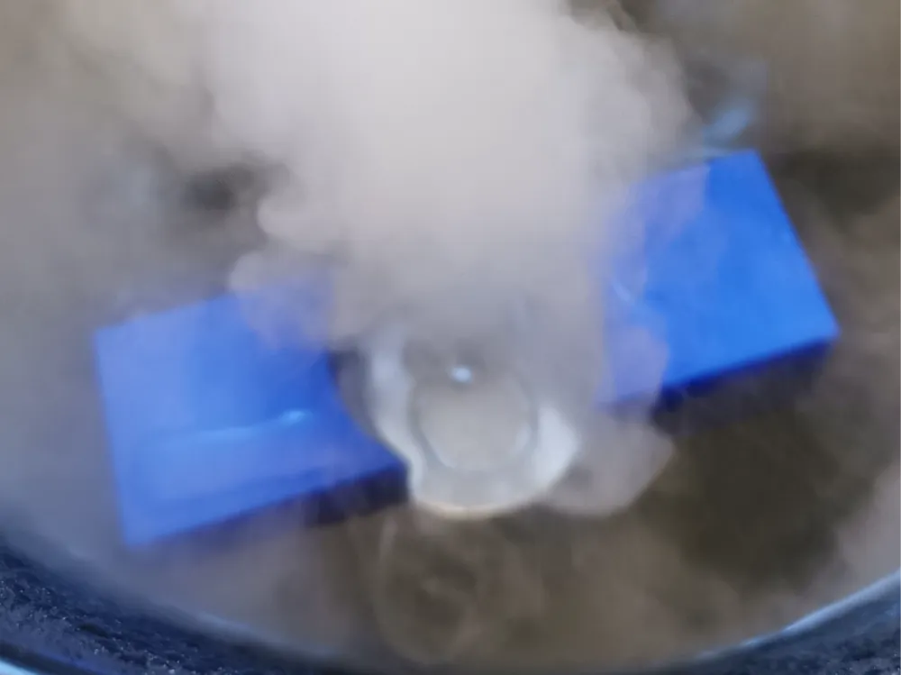 DIY Air Humidifier (floater for mist maker) by CheesecakeTV MakerWorld ...