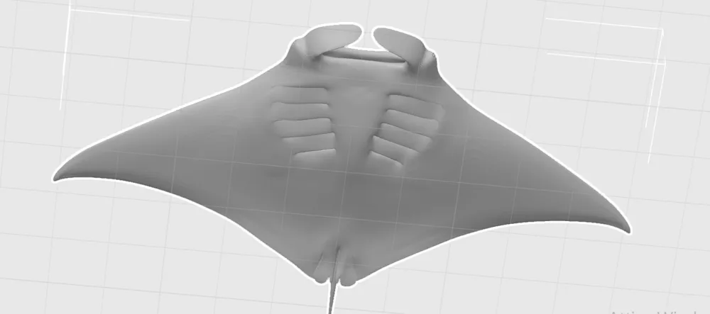 Manta Ray - Free 3D Print Model - MakerWorld