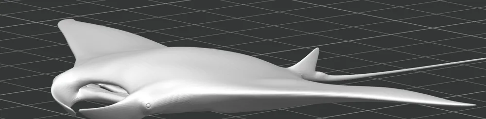 Manta Ray - Free 3D Print Model - MakerWorld