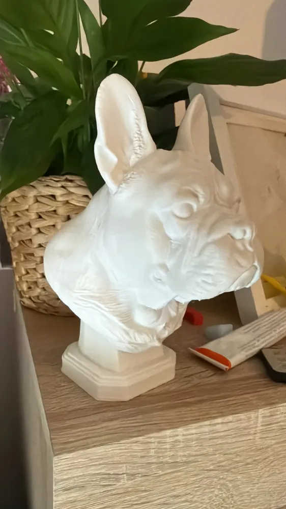 Realistic French Bulldog Bust 18 cm - Free 3D Print Model - MakerWorld