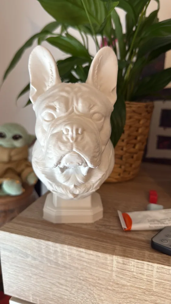 Realistic French Bulldog Bust 18 cm - Free 3D Print Model - MakerWorld