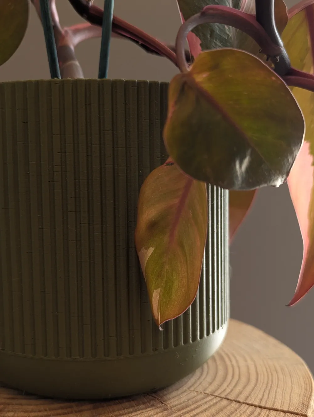 Modern Ribbed Planter by Tassos Stathakis MakerWorld: Download Free 3D ...