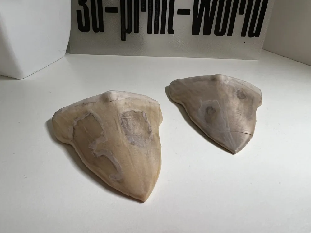 Realistic Life-Size Shark Tooth by 3D-Print-World MakerWorld: Download ...