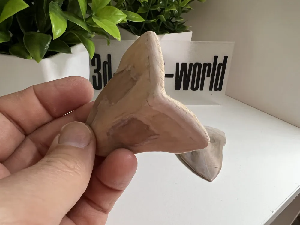 Realistic Life-Size Shark Tooth by 3D-Print-World MakerWorld: Download ...