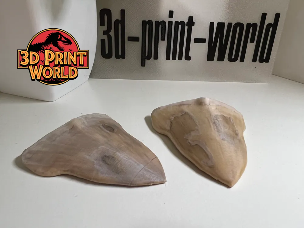 Realistic Life-Size Shark Tooth by 3D-Print-World MakerWorld: Download ...