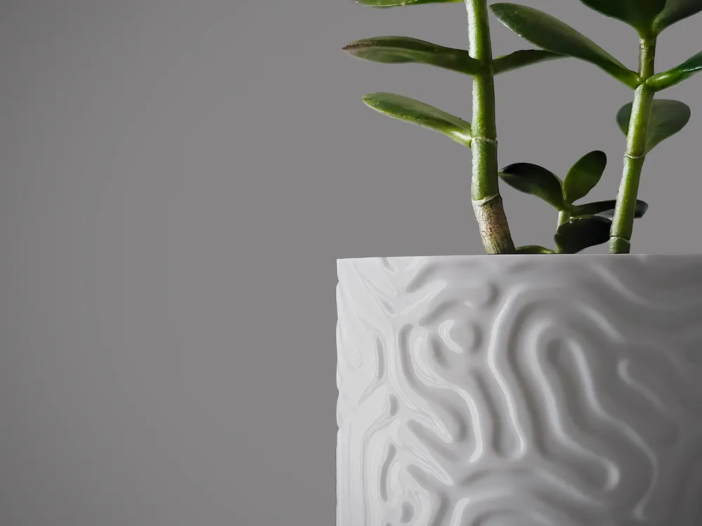 The Big Brain Planter by NEWSTREAM MakerWorld: Download Free 3D Models