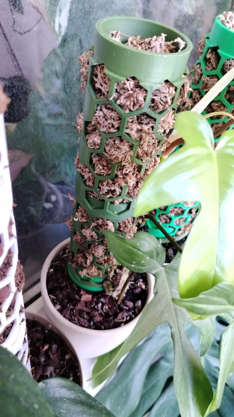 Moosstab und Pflock von Green Grandpa - MakerWorld