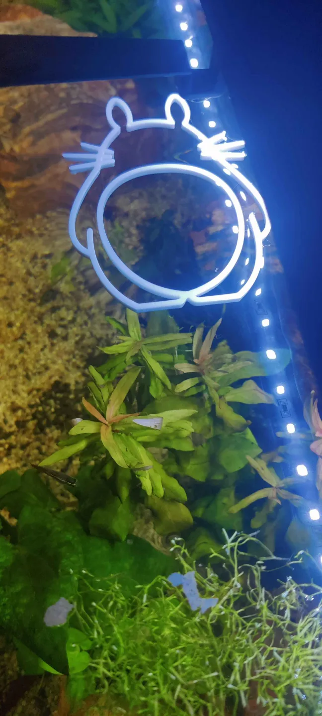 Totoro fish feeding/plant Ring Remixed by xattics - MakerWorld