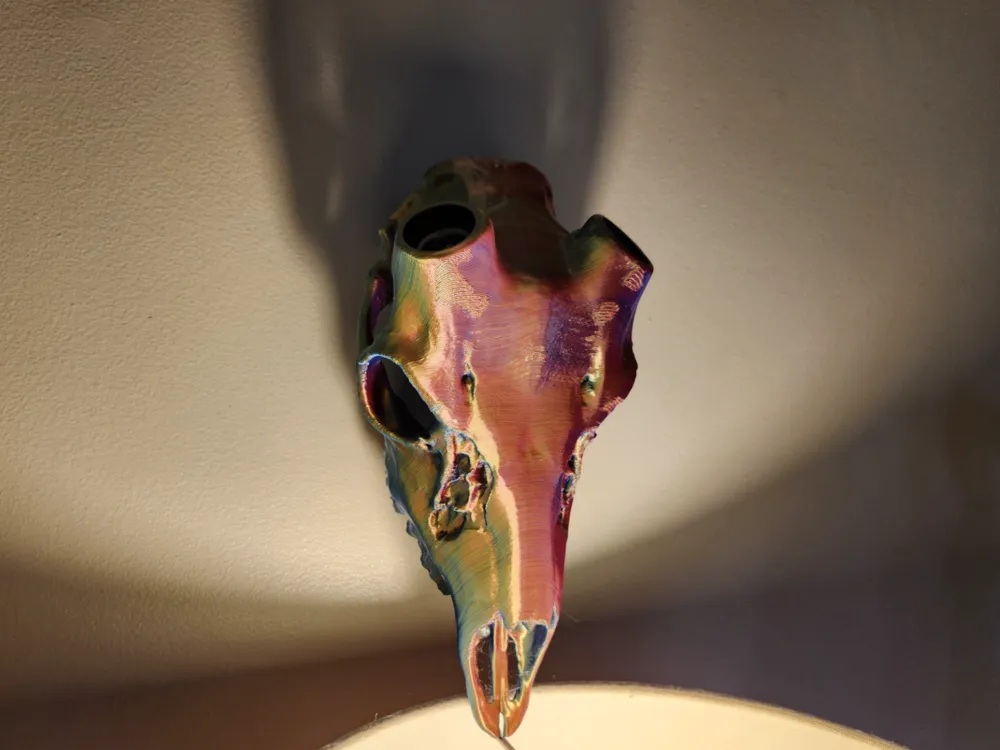 "Fallow" Deer Skull Antler Mount - Snap/Lock by dtm247 - MakerWorld