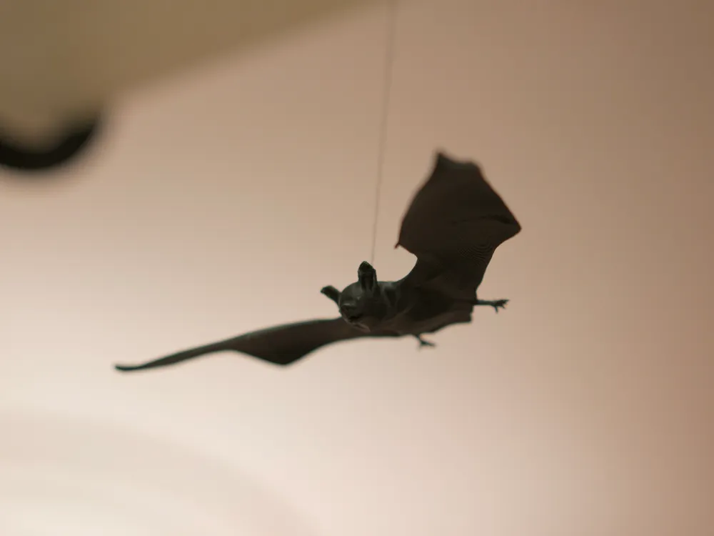 Suspended Bat Model - Free 3D Print Model - MakerWorld