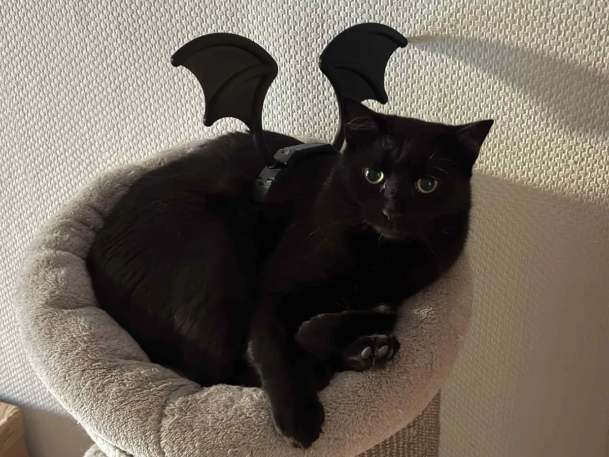 Alas de murciélago para gato por bzioo MakerWorld: Descarga Modelos 3D ...