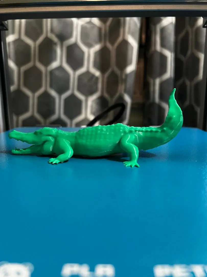 Alligator by user_4198388501MakerWorld: Download Free 3D Models