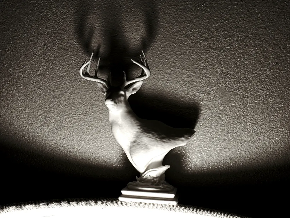 "Trophy Buck 2.0" Whitetail Deer by dtm247 - MakerWorld