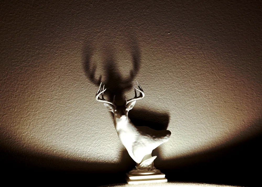 "Trophy Buck 2.0" Whitetail Deer by dtm247 - MakerWorld