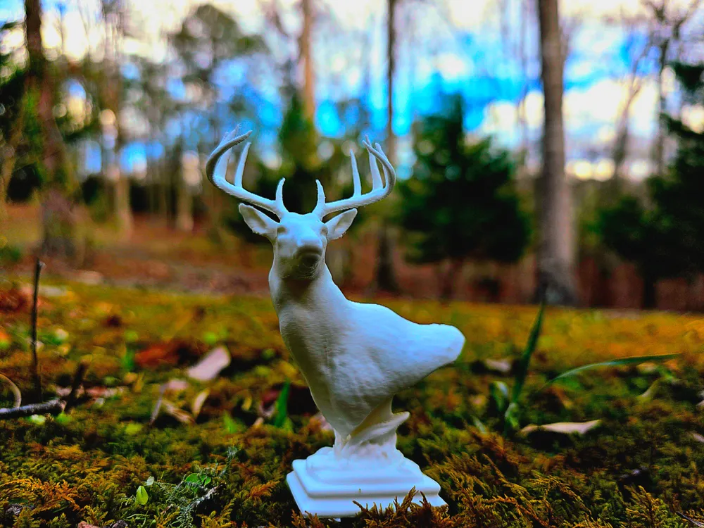 "Trophy Buck 2.0" Whitetail Deer - Free 3D Print Model - MakerWorld