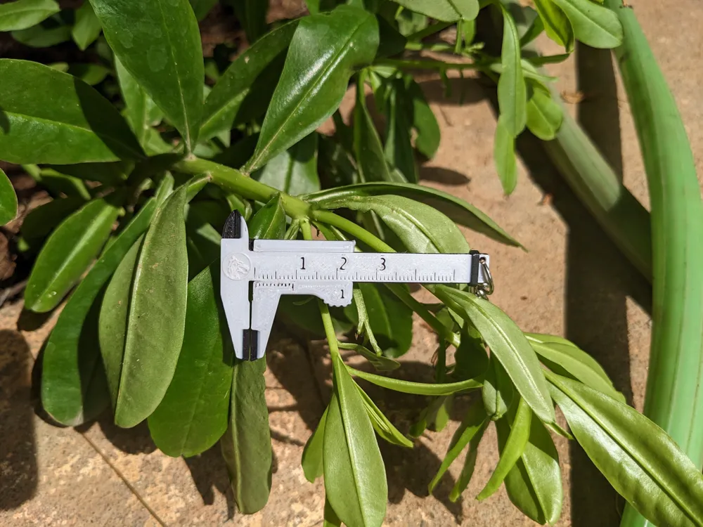 Pocket Caliper Keychain by RamBros MakerWorld: Download Free 3D Models