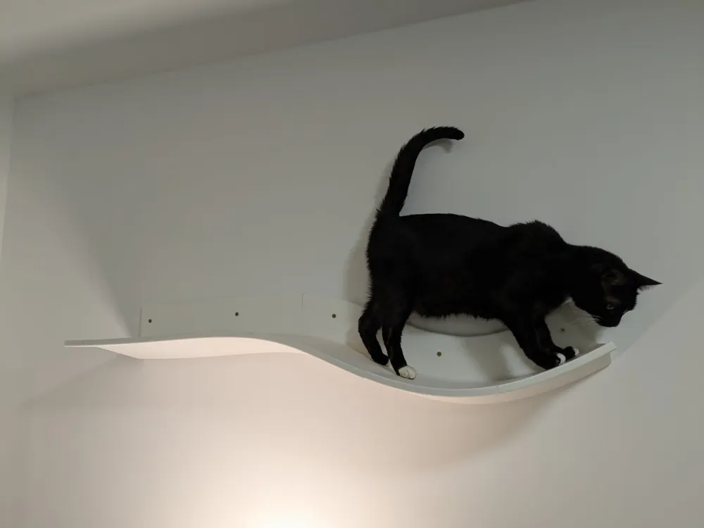 Cat wavy shelf by cassiolandim - MakerWorld