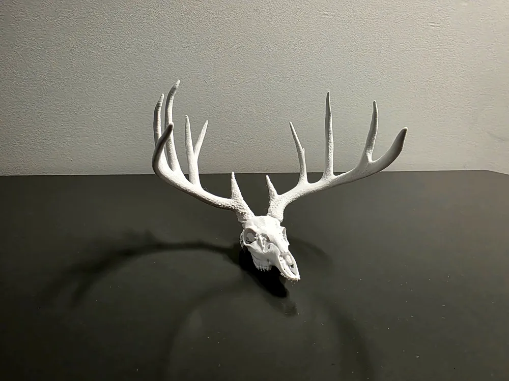 "Forked G2" Whitetail Deer Skull by DTM247MakerWorld: Download Free 3D ...