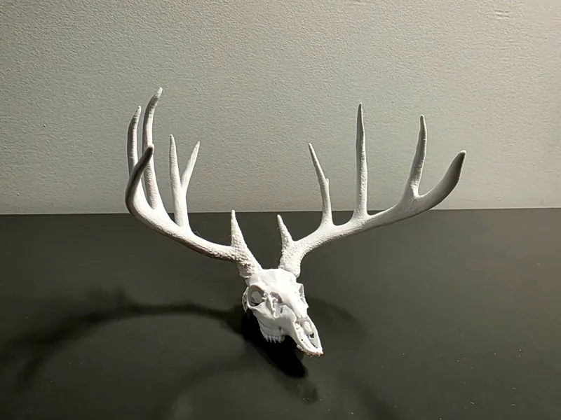 dtm247 | Published - MakerWorld