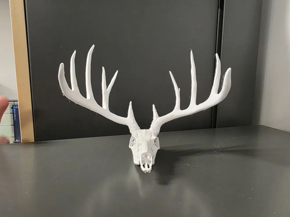 "Forked G2" Whitetail Deer Skull by DTM247MakerWorld: Download Free 3D ...