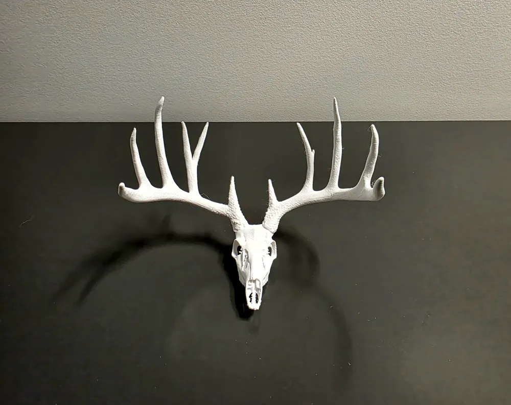 "Forked G2" Whitetail Deer Skull by DTM247MakerWorld: Download Free 3D ...