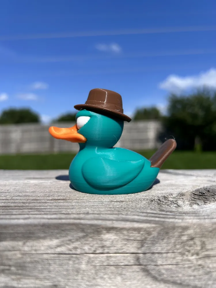 Perry the Platypus Duck by K3DPrint MakerWorld: Download Free 3D Models