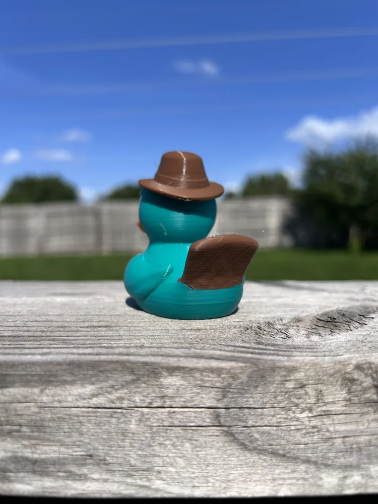 Perry the Platypus Duck by K3DPrint MakerWorld: Download Free 3D Models