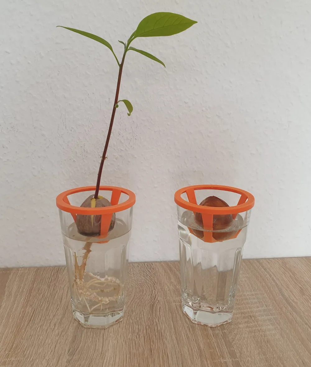 Avocado Planting Aid by Marcel MakerWorld: Download Free 3D Models