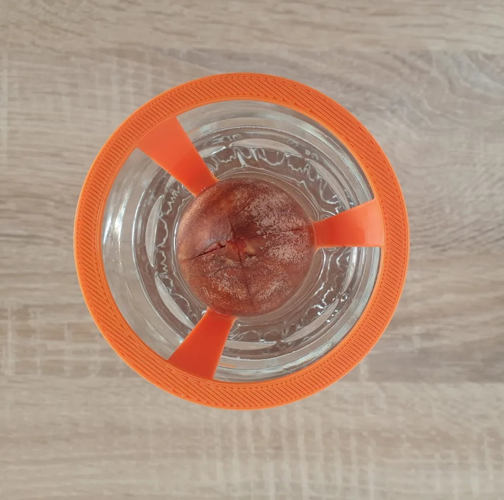 Avocado Planting Aid by Marcel MakerWorld: Download Free 3D Models