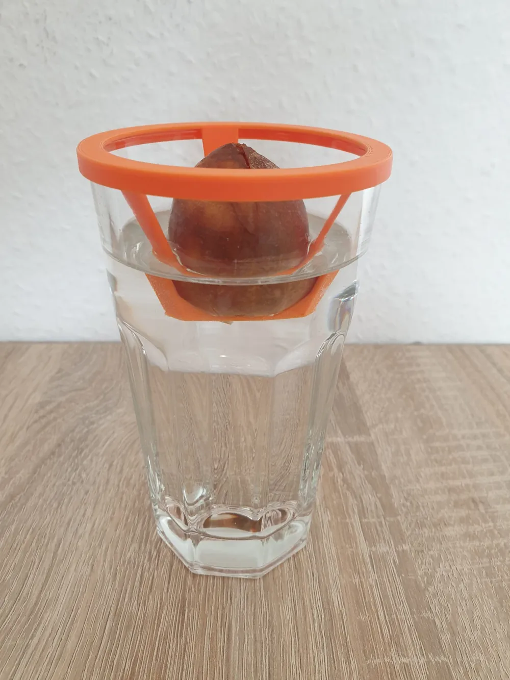 Avocado Planting Aid by Marcel MakerWorld: Download Free 3D Models