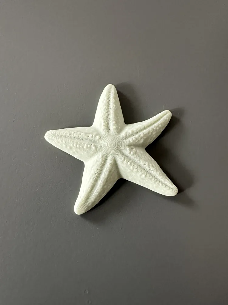 Small starfish for maritime decoration - Free 3D Print Model - MakerWorld