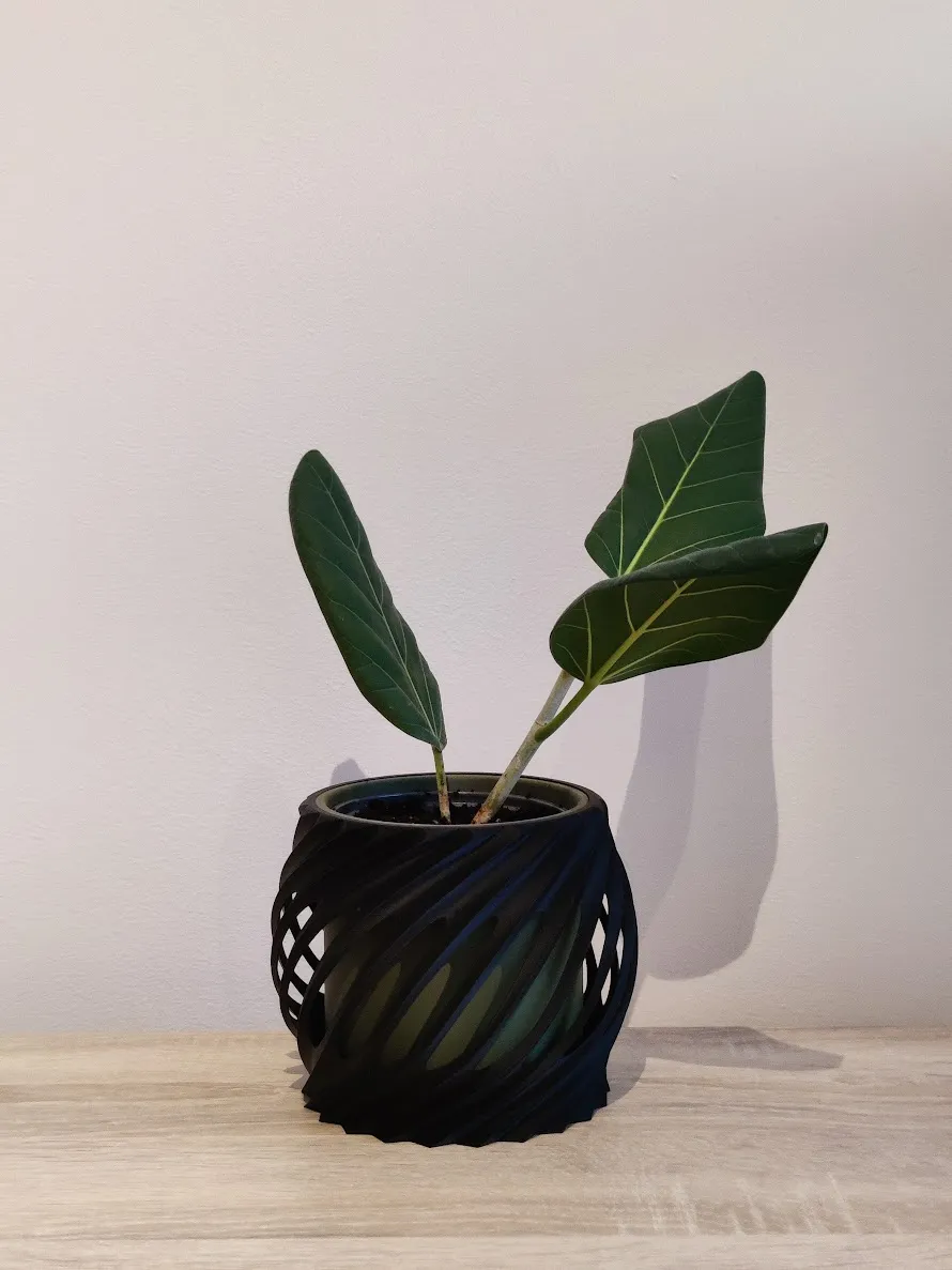 See-Through Swirl Flower Pot by ShazzleCreates - MakerWorld