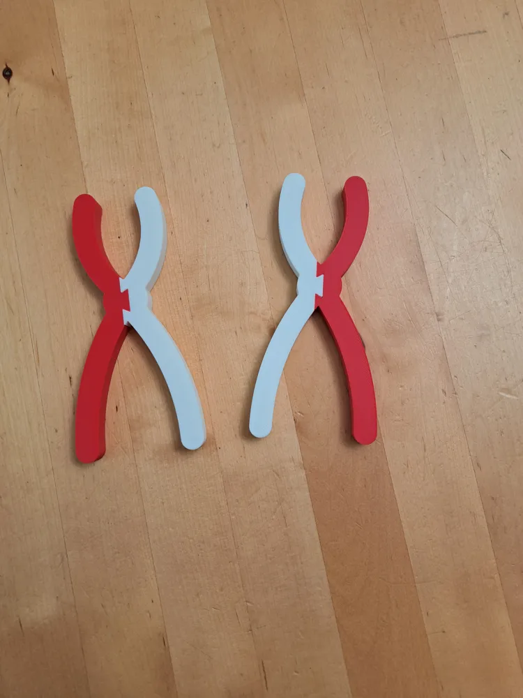 Chromosomes - Free 3D Print Model - MakerWorld