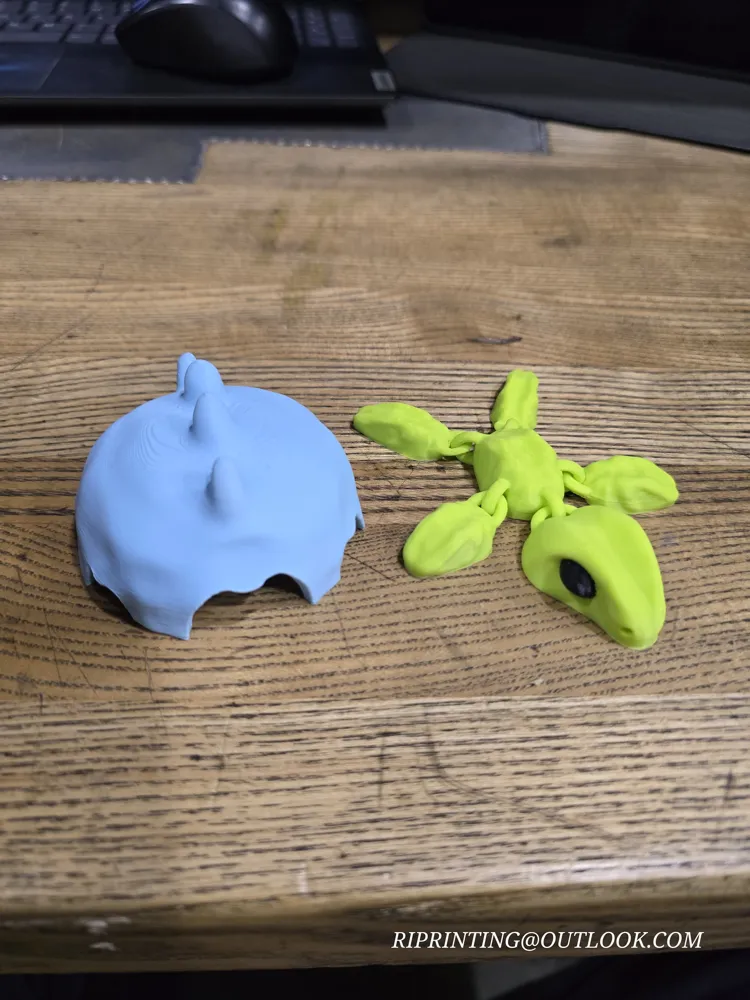 snurtle the turtle by RI printing MakerWorld: Download Free 3D Models
