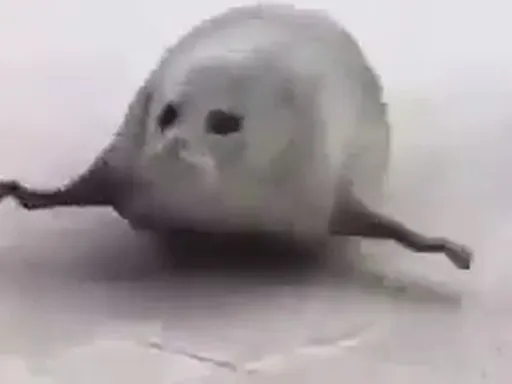 bouncing seal meme - Free 3D Print Model - MakerWorld