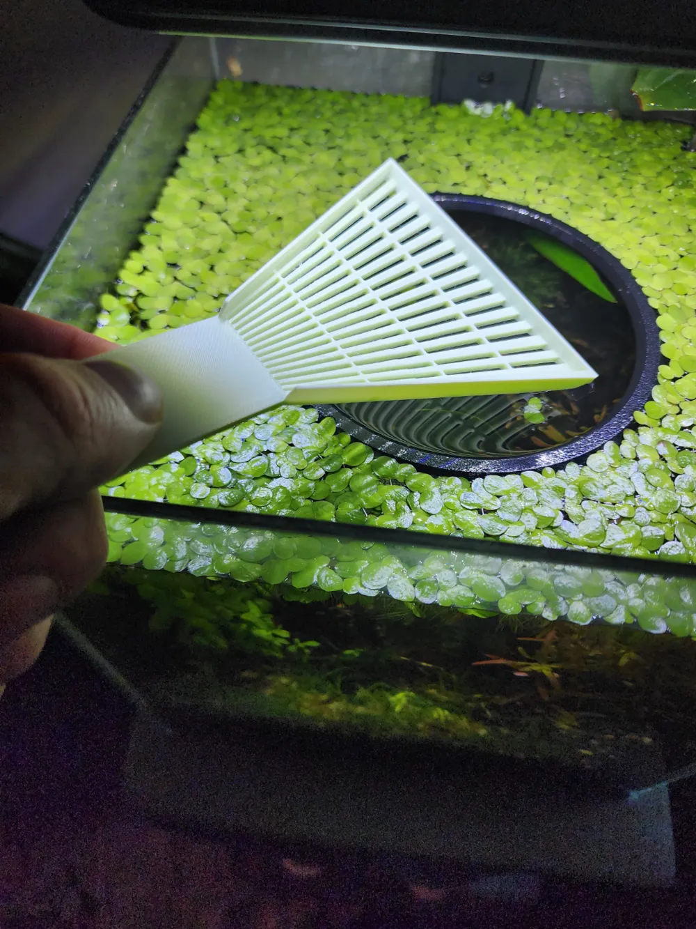 Duckweed Algae Scooper by GrawvyRobber MakerWorld: Download Free 3D Models